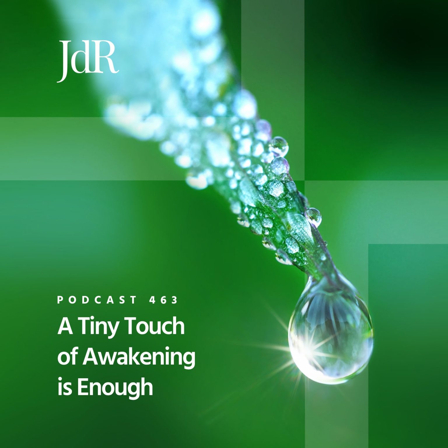 A Tiny Touch of Awakening is Enough - John de Ruiter