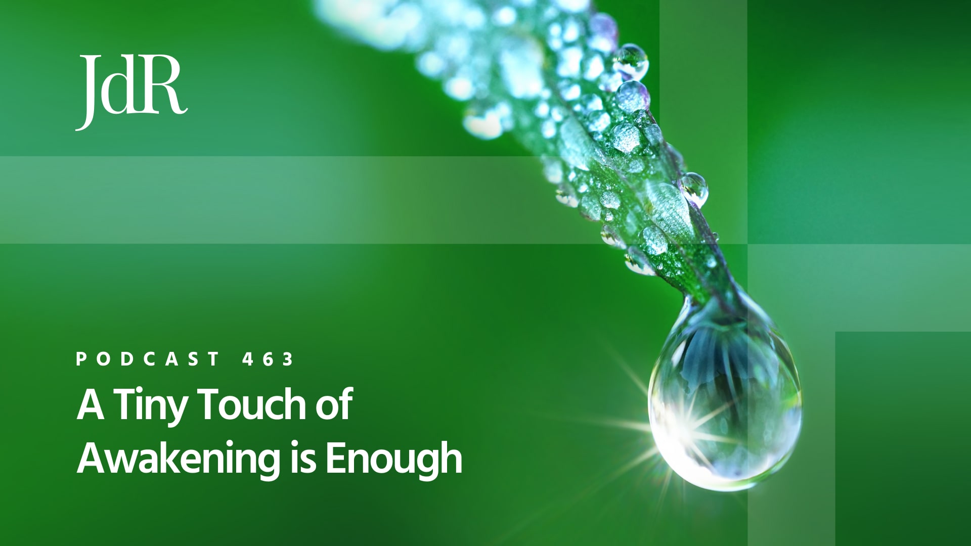 A Tiny Touch of Awakening is Enough - John de Ruiter