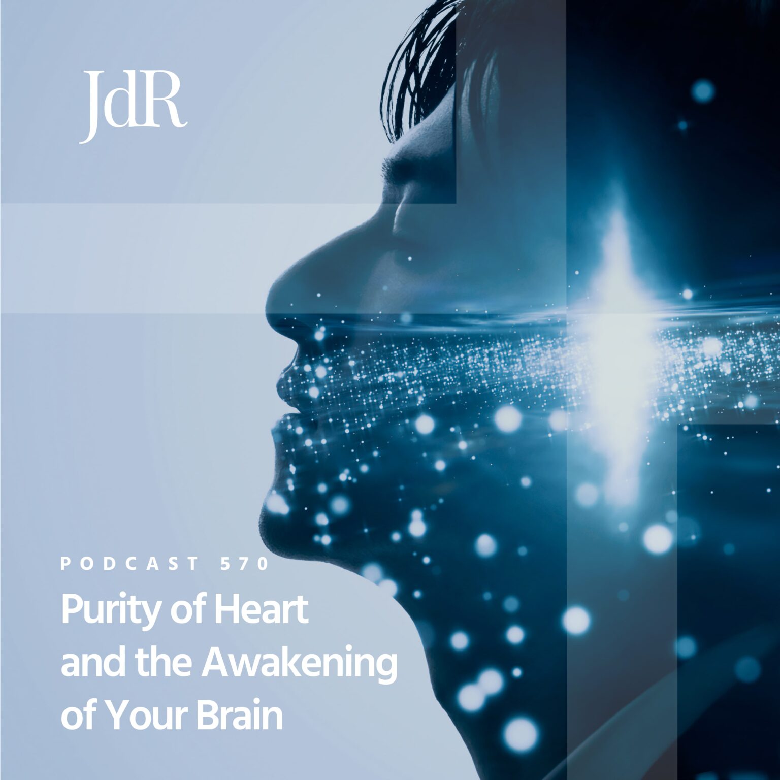 Purity of Heart and the Awakening of Your Brain - John de Ruiter