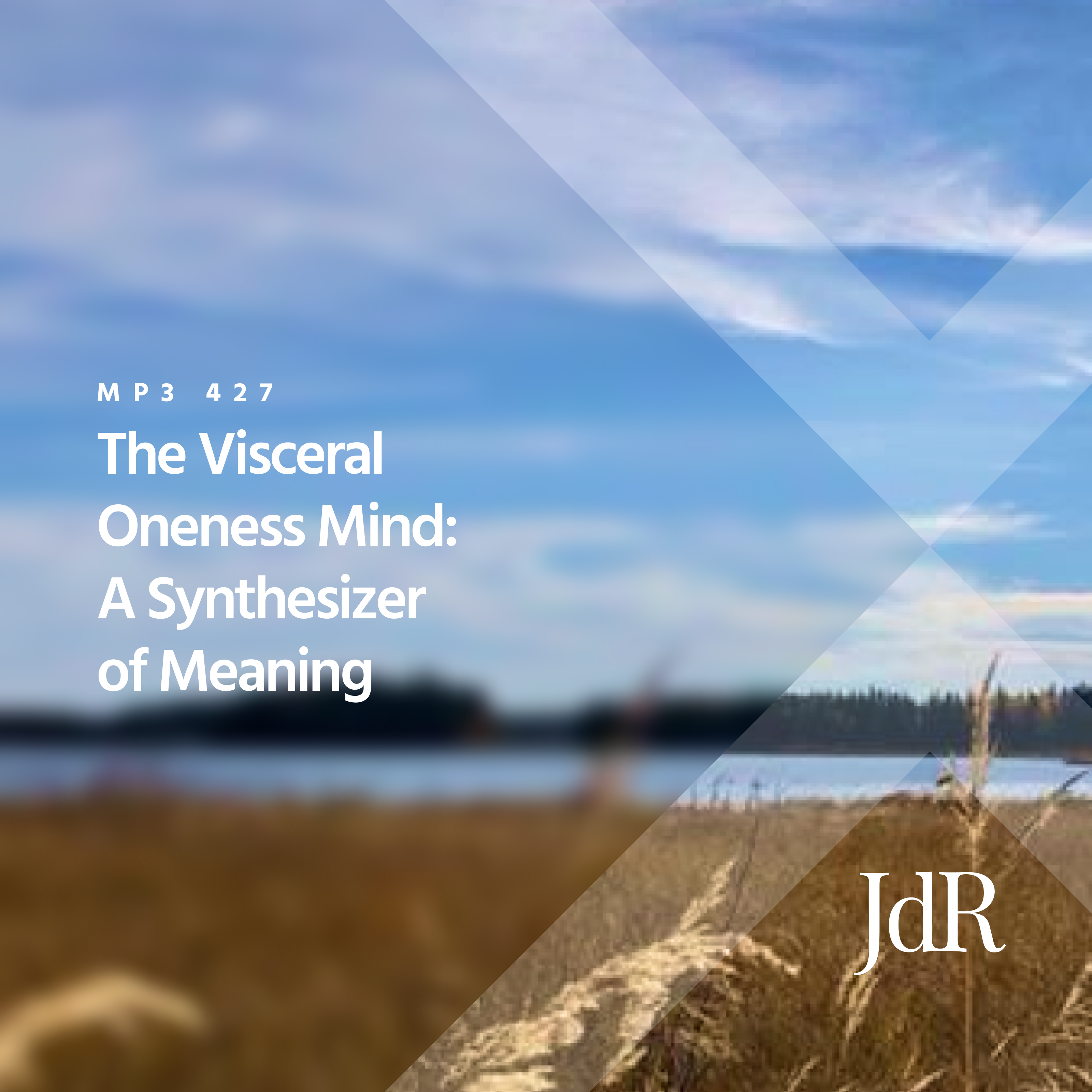 The Visceral Oneness Mind: A Synthesizer of Meaning - John de Ruiter
